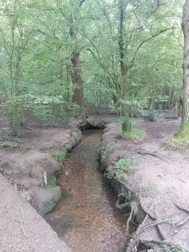 Leading Action for Healthy Rivers Training - Catchment to Coast - Essex ...